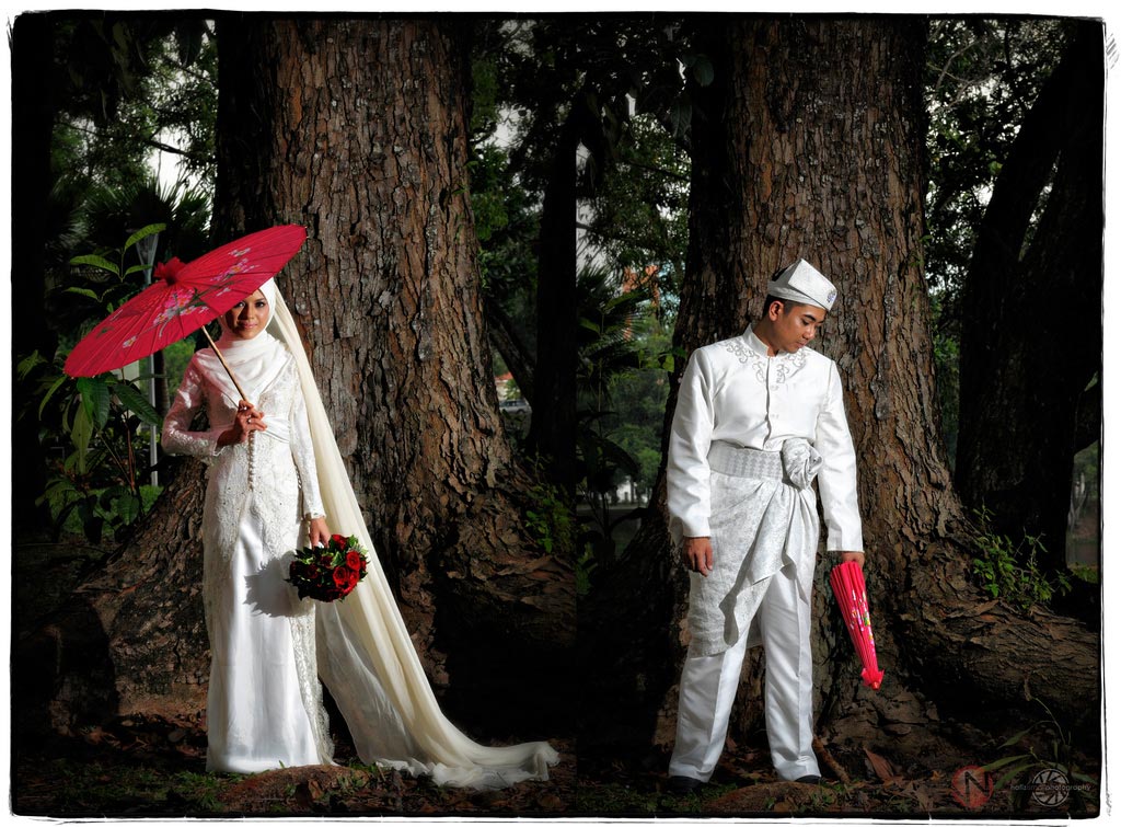 Get Married - Plant a Tree | PITH + VIGOR